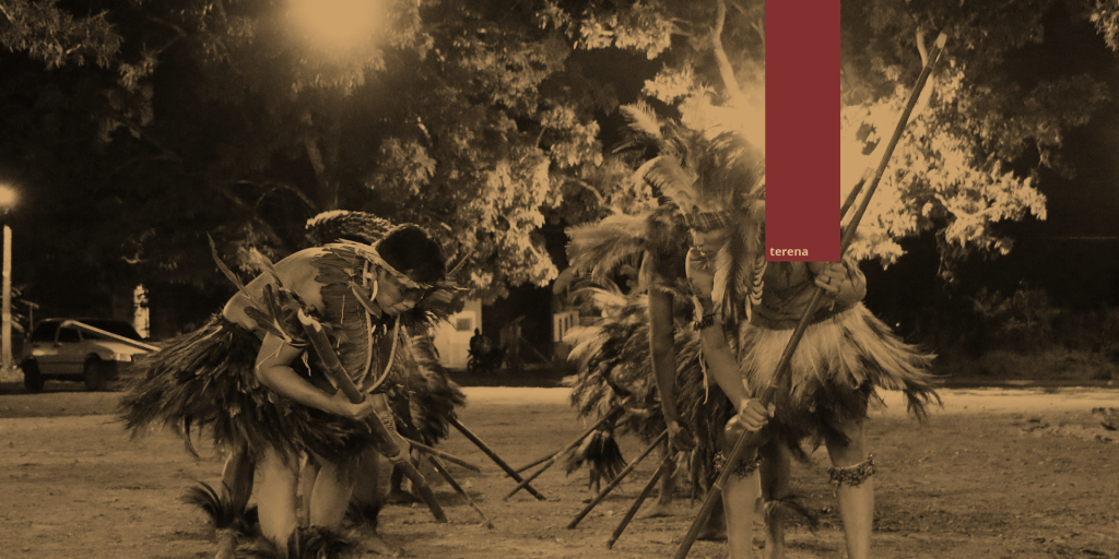 Conselho Terena e CTI contratam consultoria em agroecologia para ...